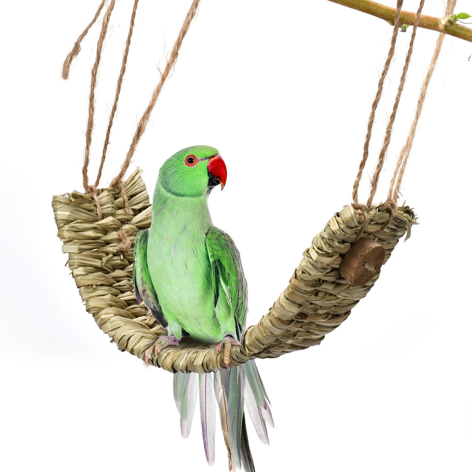 Parrot Hanging Garden Decoration Swing Swing Statue Decorations ...