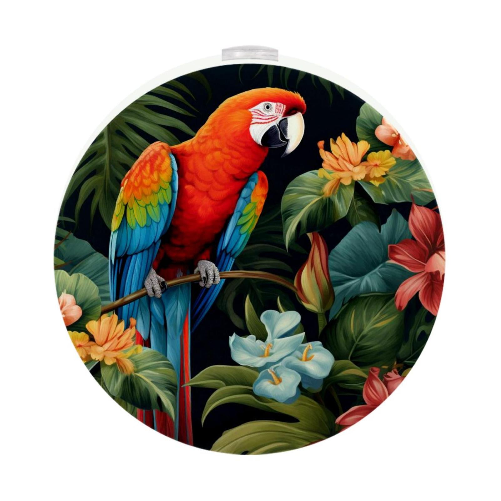 Parrot LED Round Night Light - 2 Pack, Plug-in Motion Sensor Wall Lamp ...