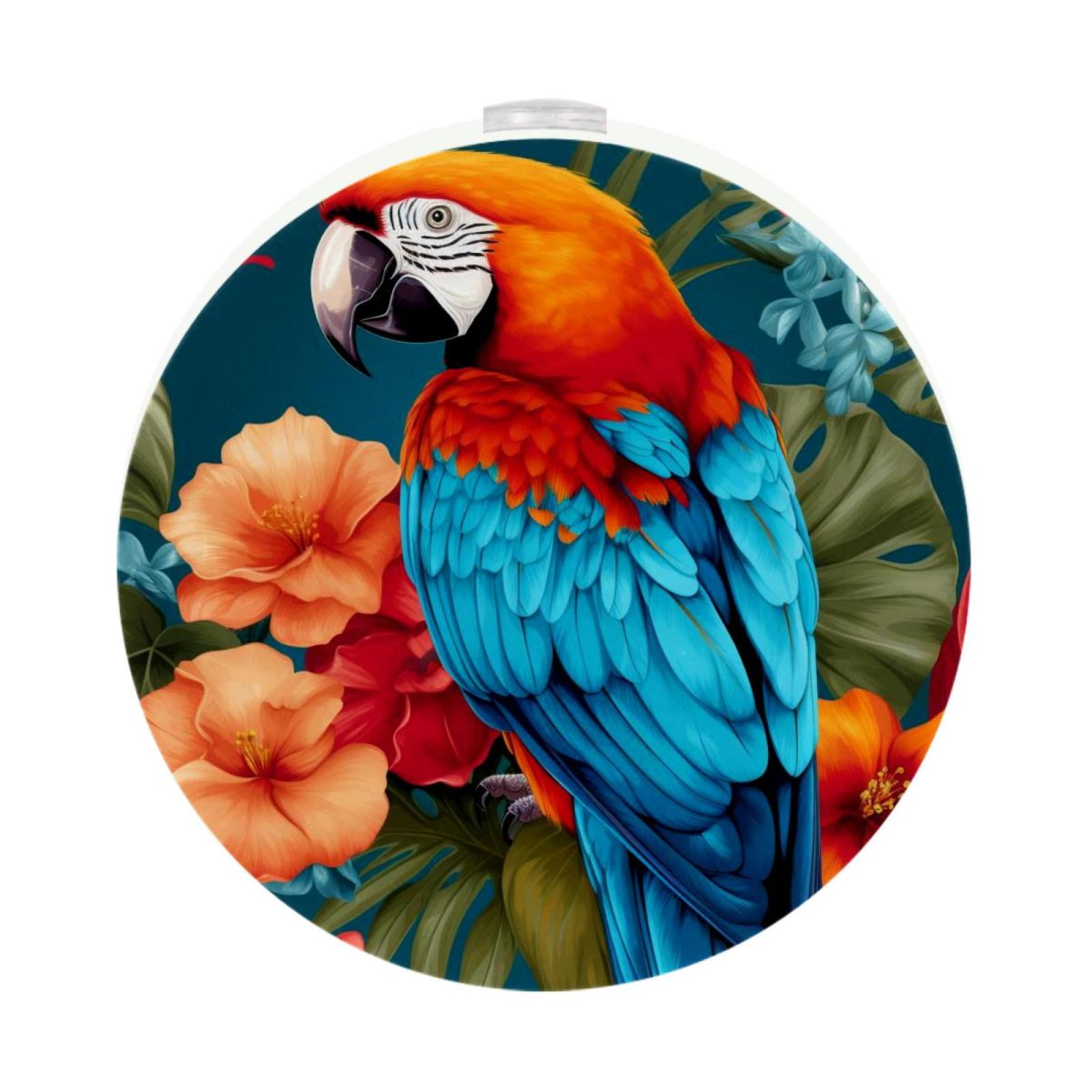 Parrot LED Round Night Light - 2 Pack, Plug-in Motion Sensor Wall Lamp ...