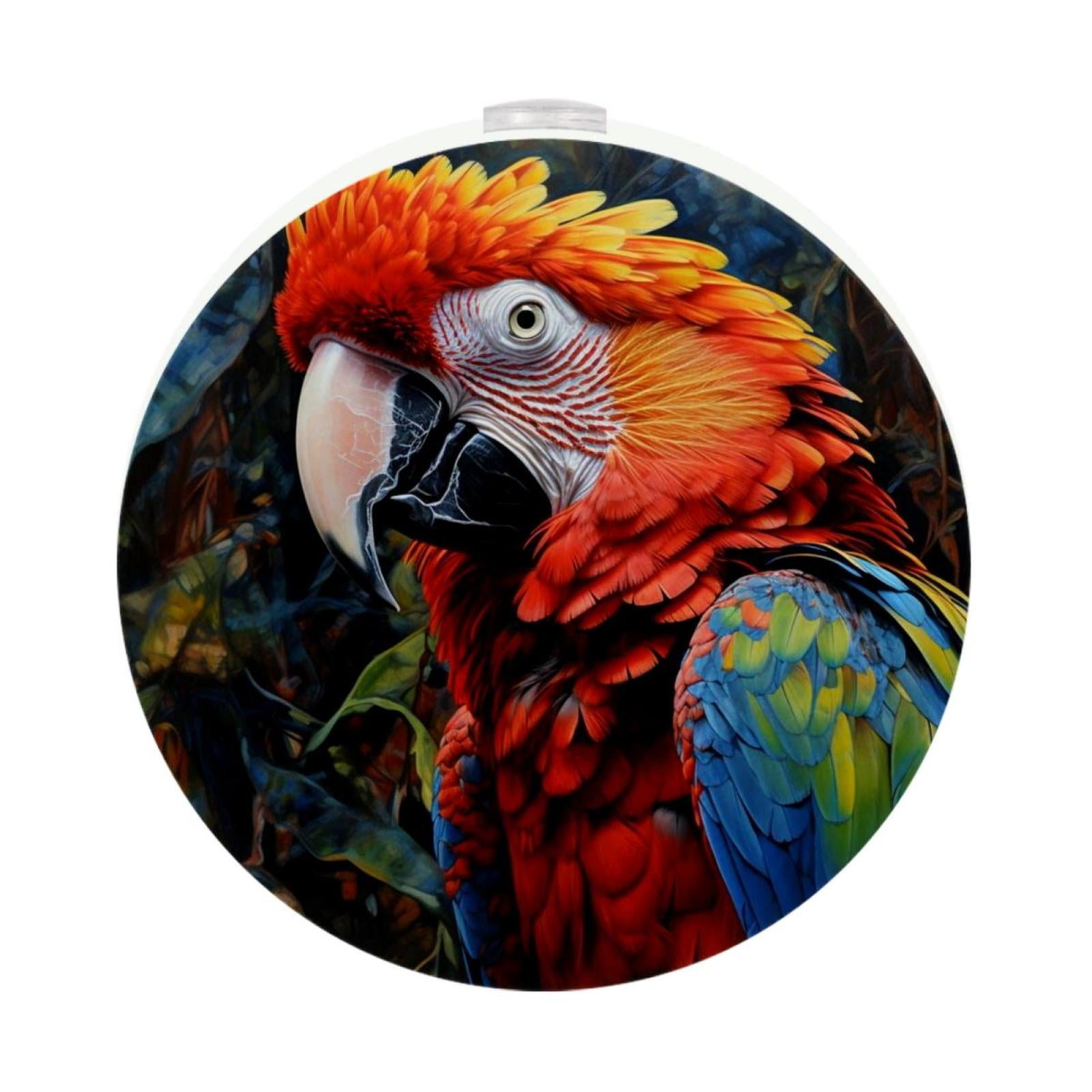 Parrot LED Round Night Light-2PCS: Bright and Energy Efficient ...