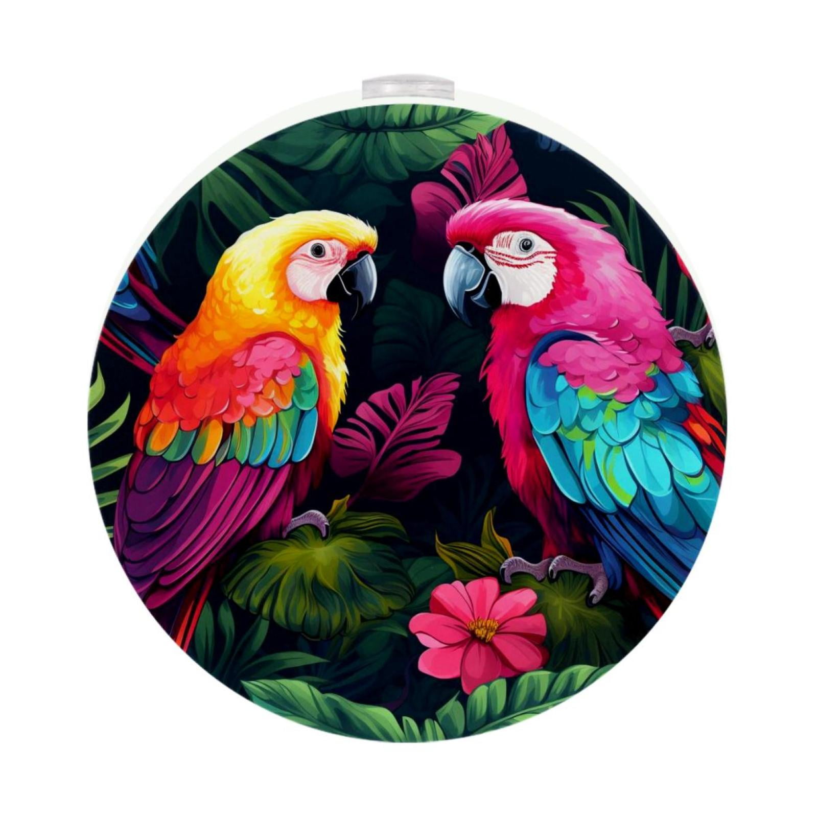 Parrot LED Round Night Light-2PCS, Energy Efficient Plug-in Bedroom ...