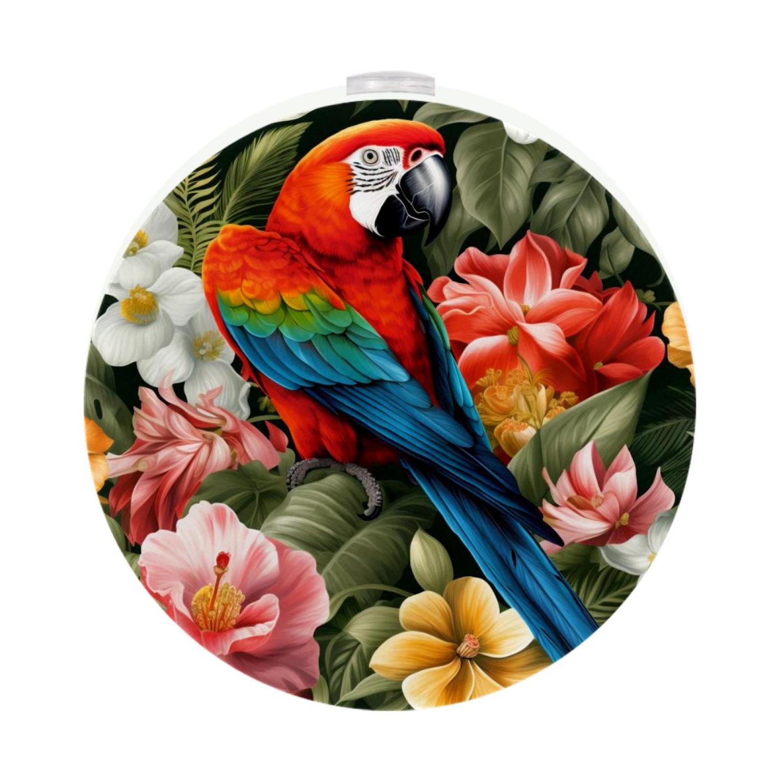 Parrot LED Round Night Light-2PCS, Energy Efficient Plug-in Bedroom ...