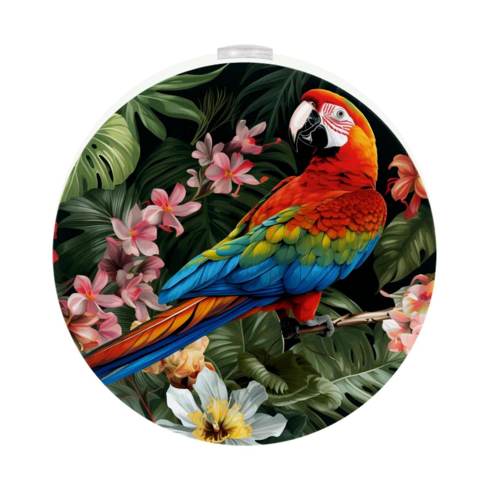 Parrot LED Round Night Light-2PCS, Motion Sensor Plug-in Wall Light ...