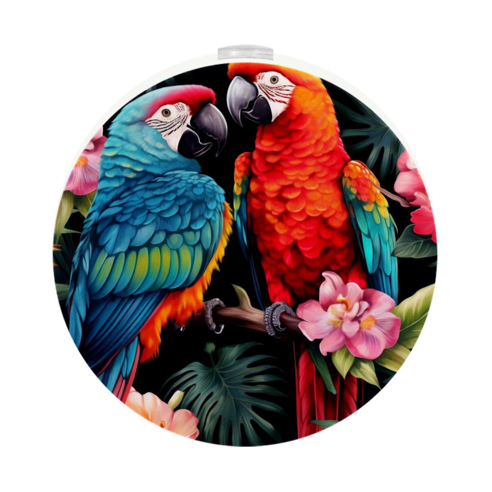 Parrot LED Round Night Light - 2PCS, Plug-in Dusk-to-Dawn Sensor ...