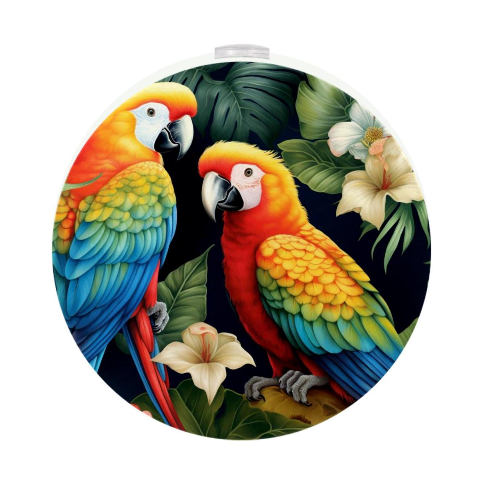 Parrot LED Round Night Light-2PCS, Plug-in Mini Wall Socket Soft White ...
