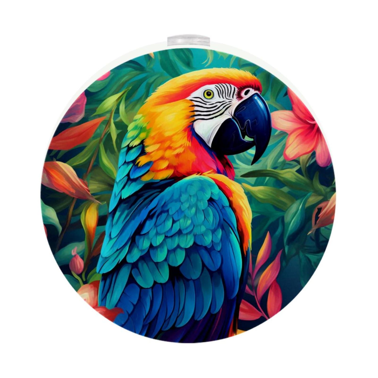 Parrot LED Round Night Light-2PCS, Plug-in Mini Wall Socket Soft White ...