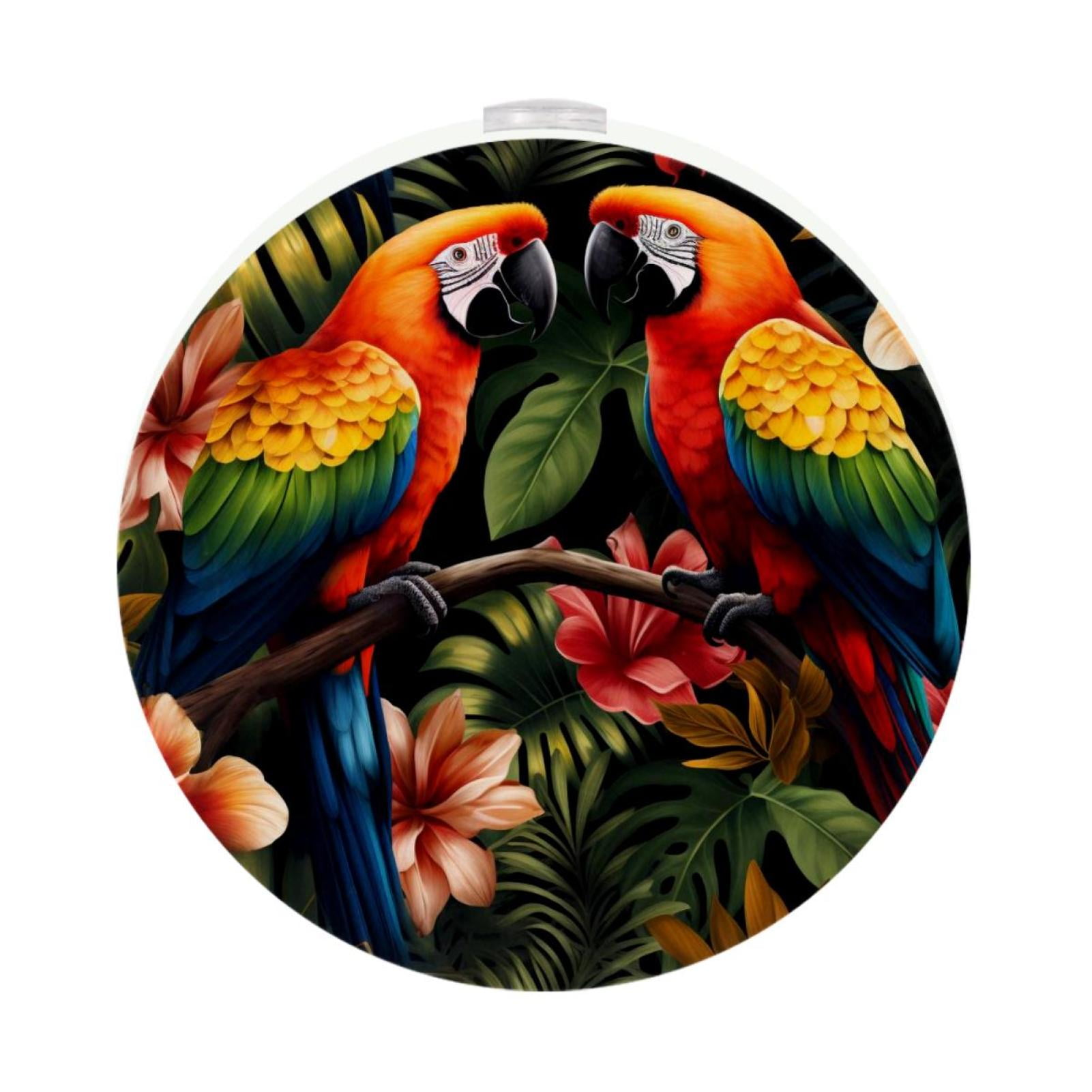 Parrot LED Round Night Light-2PCS, Plug-in Mini Wall Socket Soft White ...