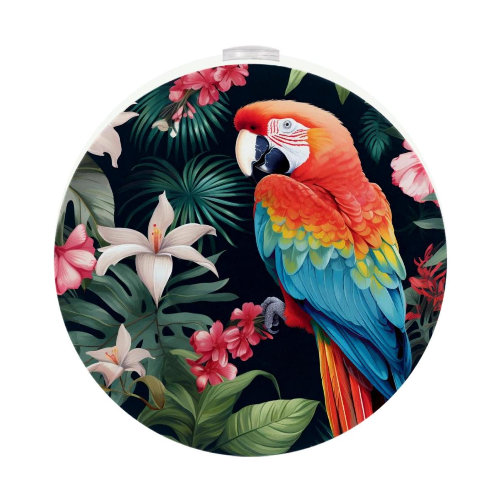 Parrot LED Round Night Light-2PCS, Plug-in Mini Wall Socket Soft White ...