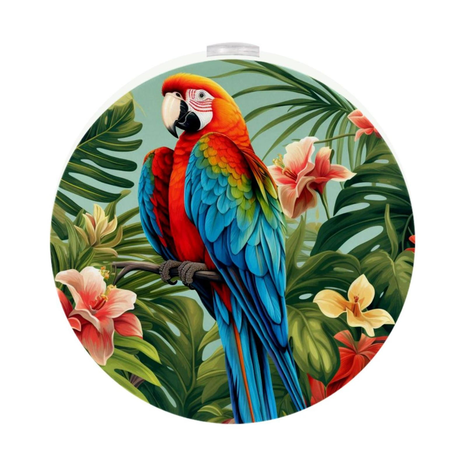 Parrot LED Round Night Light-2PCS Ultra Bright Candle Battery Powered ...