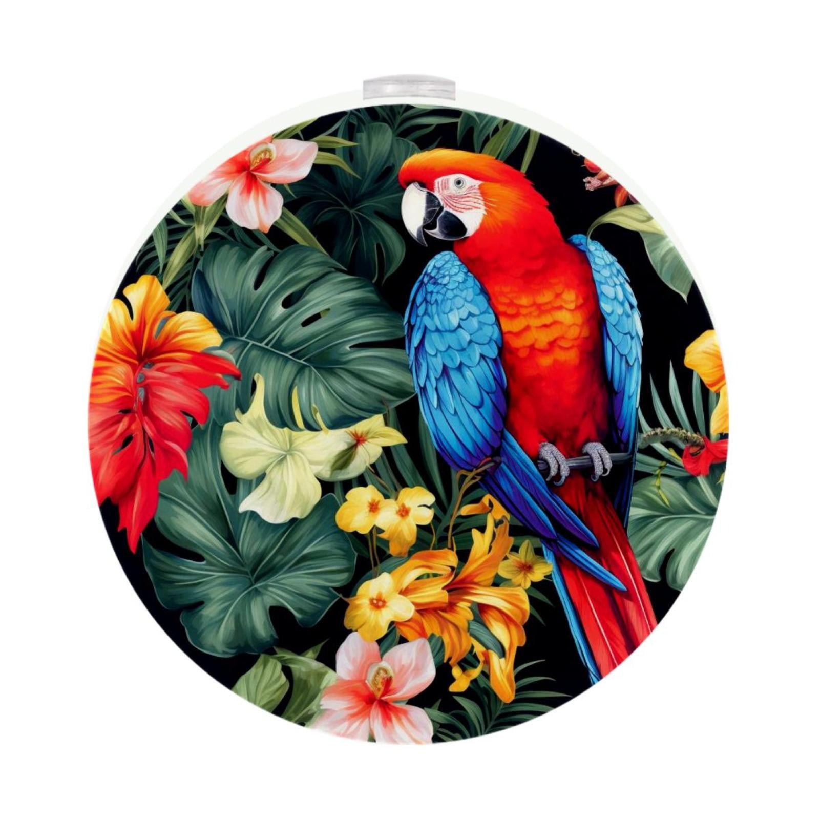 Parrot LED Round Night Light-2PCS Ultra Bright Candle Battery Powered ...