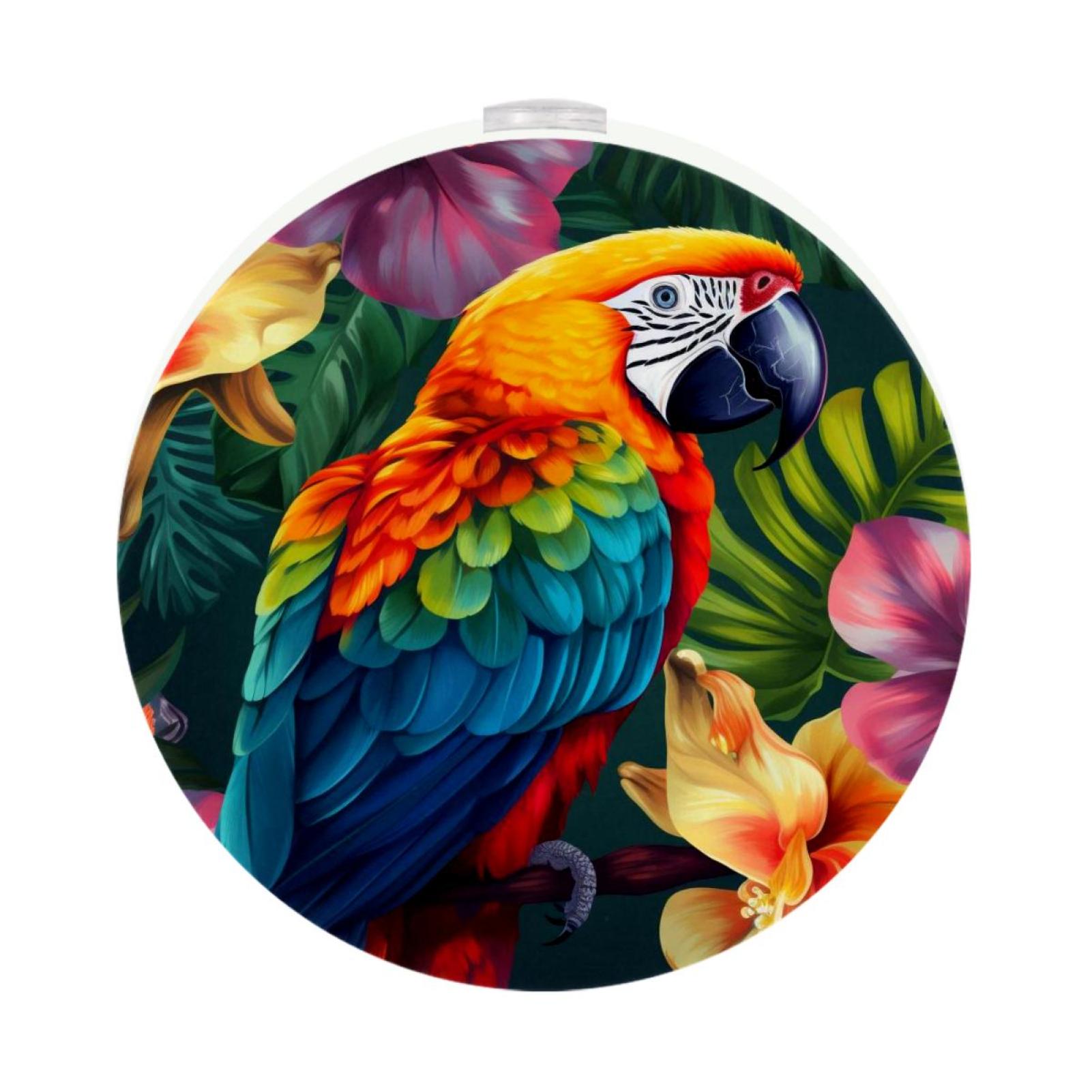 Parrot LED Round Night Light-2PCS Ultra Bright Candle Battery Powered ...