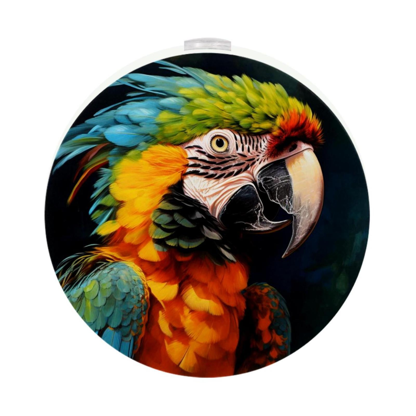 Parrot LED Round Night Light- Set of 2, Portable Rechargeable Mini ...