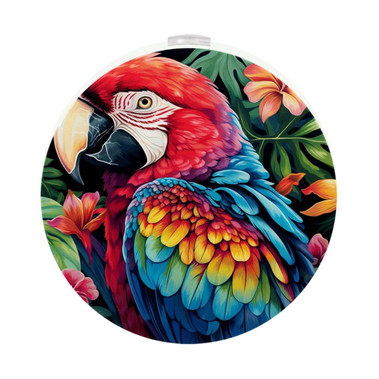 Parrot Led Round Night Light-2pcs, Gentle Glow Plug in Wall Lamp for ...