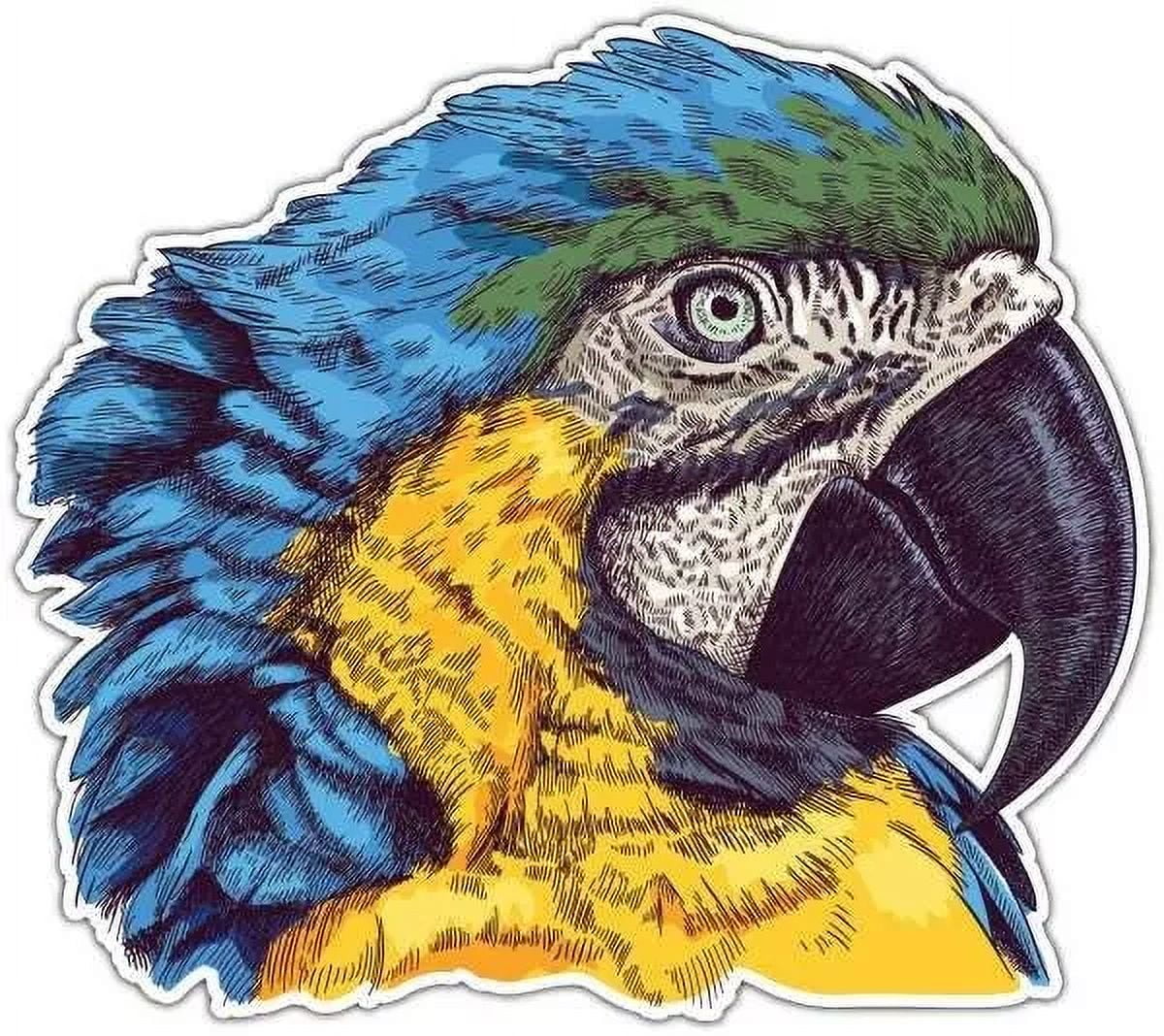 Parrot Macaw Head Bird Zoo Car Window Stickerphone Decal Water Bottle ...