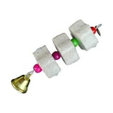 Parrot Molar Stone Parrot Grinding Stone Bird Molar Chinchilla Squirrel ...