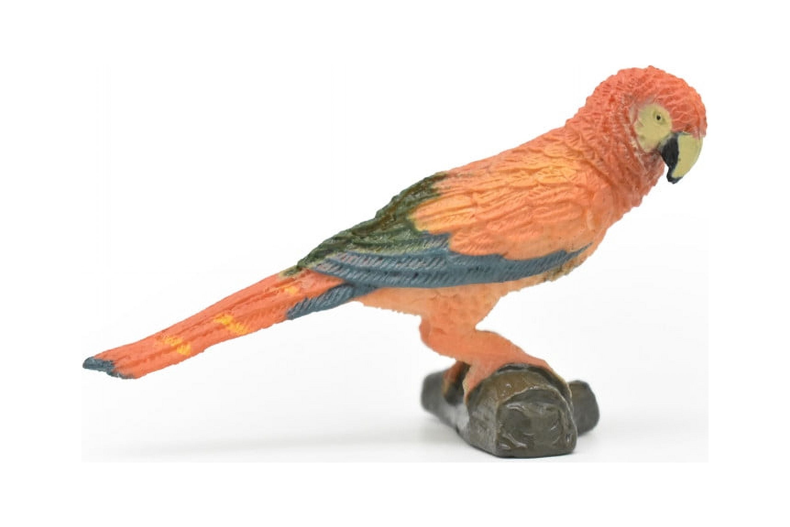 Parrot, Museum Quality, Realistic, Plastic, Bird Design, Educational ...