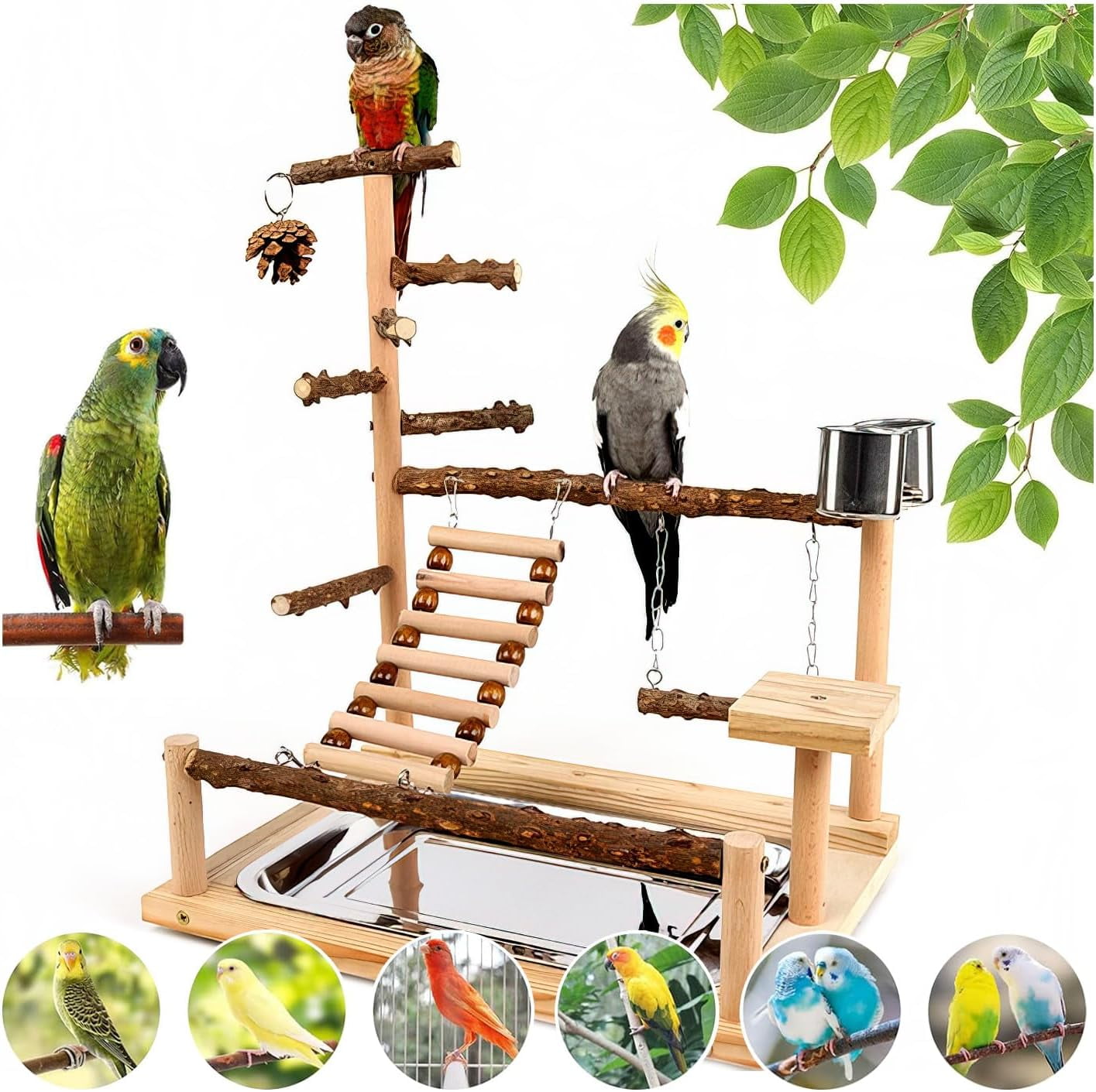 Parrot Perch Stand, Bird Playground, Natural Wood Bird Play Stands for ...