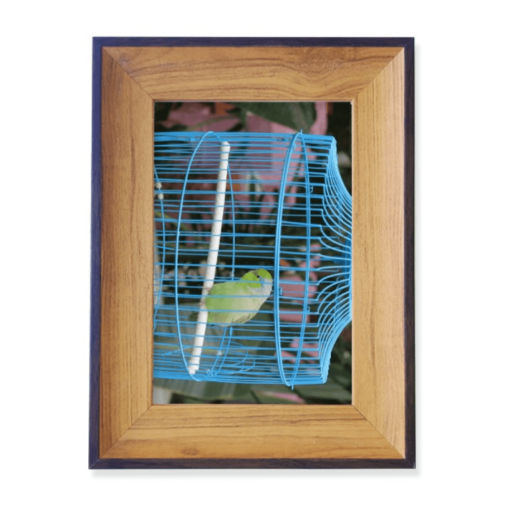 Parrot Photo Frame Exhibition Display Art Desktop Painting - Walmart.com