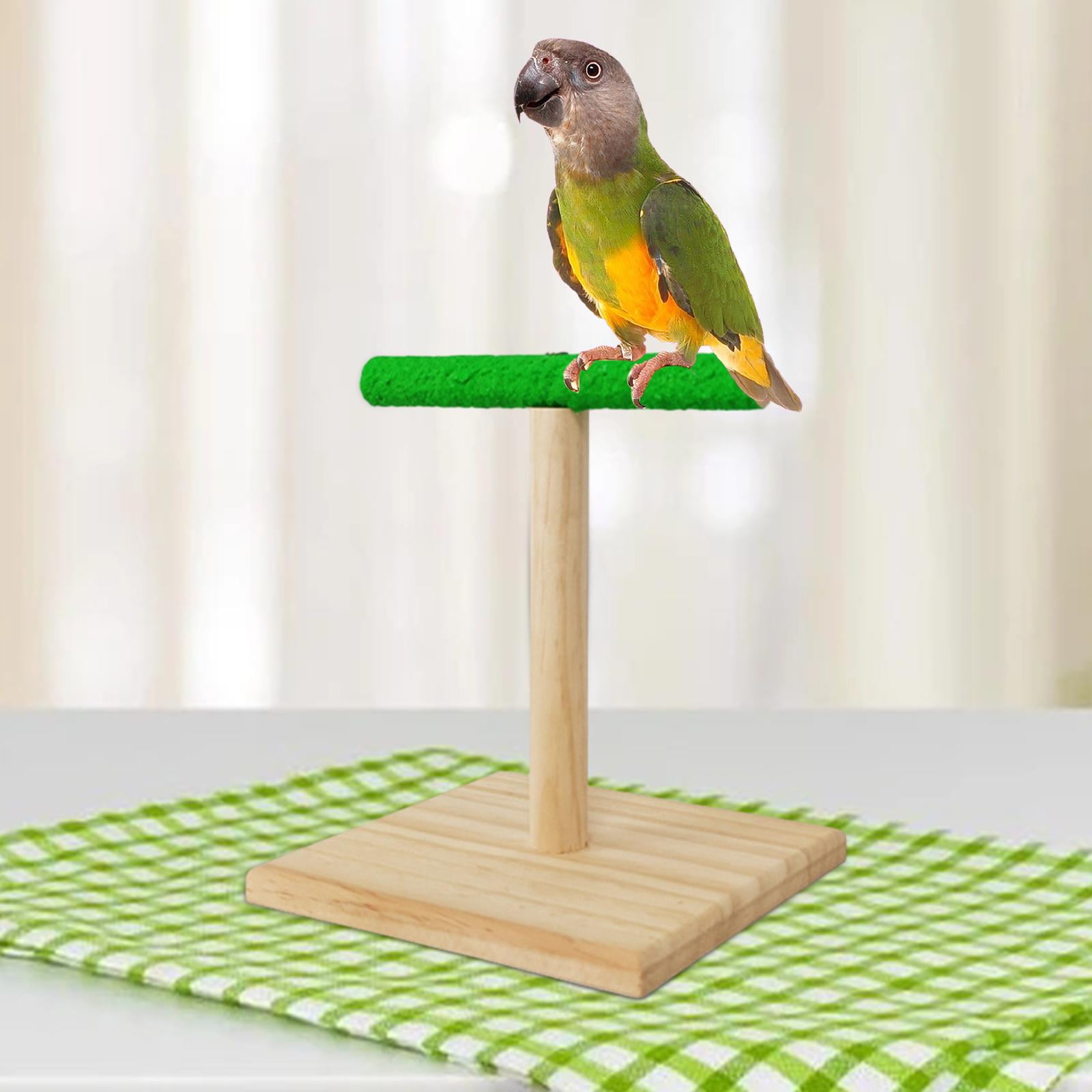 Parrot Play Stand,Bird Tabletop Training Stand Perch Tee Stand,Portable ...