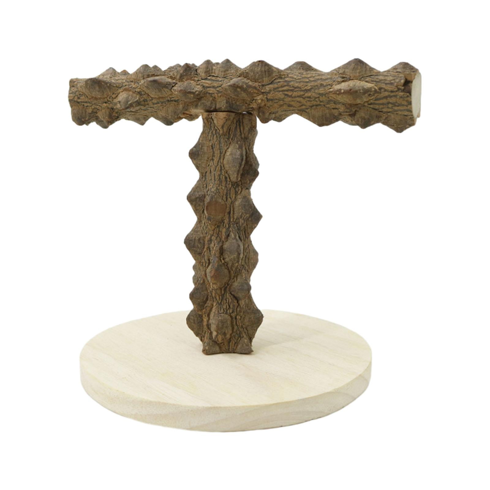 Parrot Play Stand Gym Stand Bird Platform Perch for Finches Cockatiel ...