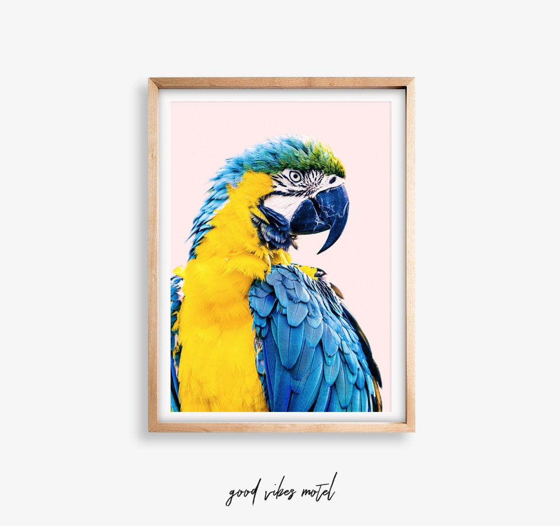 Parrot Poster, Tropical Bird Poster, Animal Poster, Parrot Wall Art ...