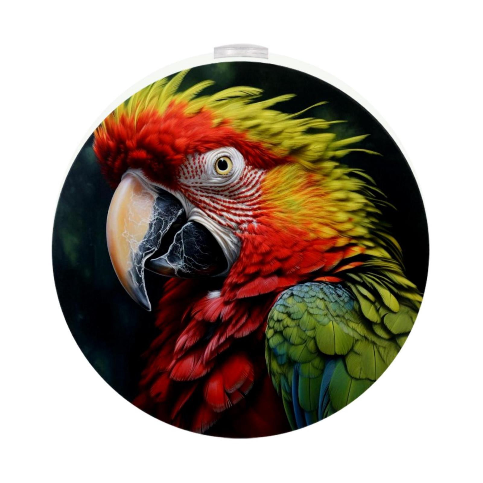 Parrot Set of 2 LED Round Night Lights for Brightening up your Space at ...