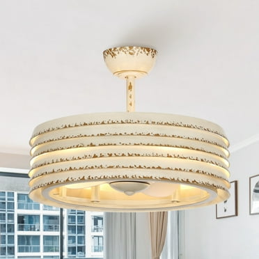 Parrot Uncle Ceiling Fan with Lights and Remote Control 27 inch Ceiling ...