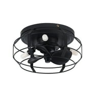 Energetic 16" Industrial Style Caged Ceiling Fan with Lights and Remote ...