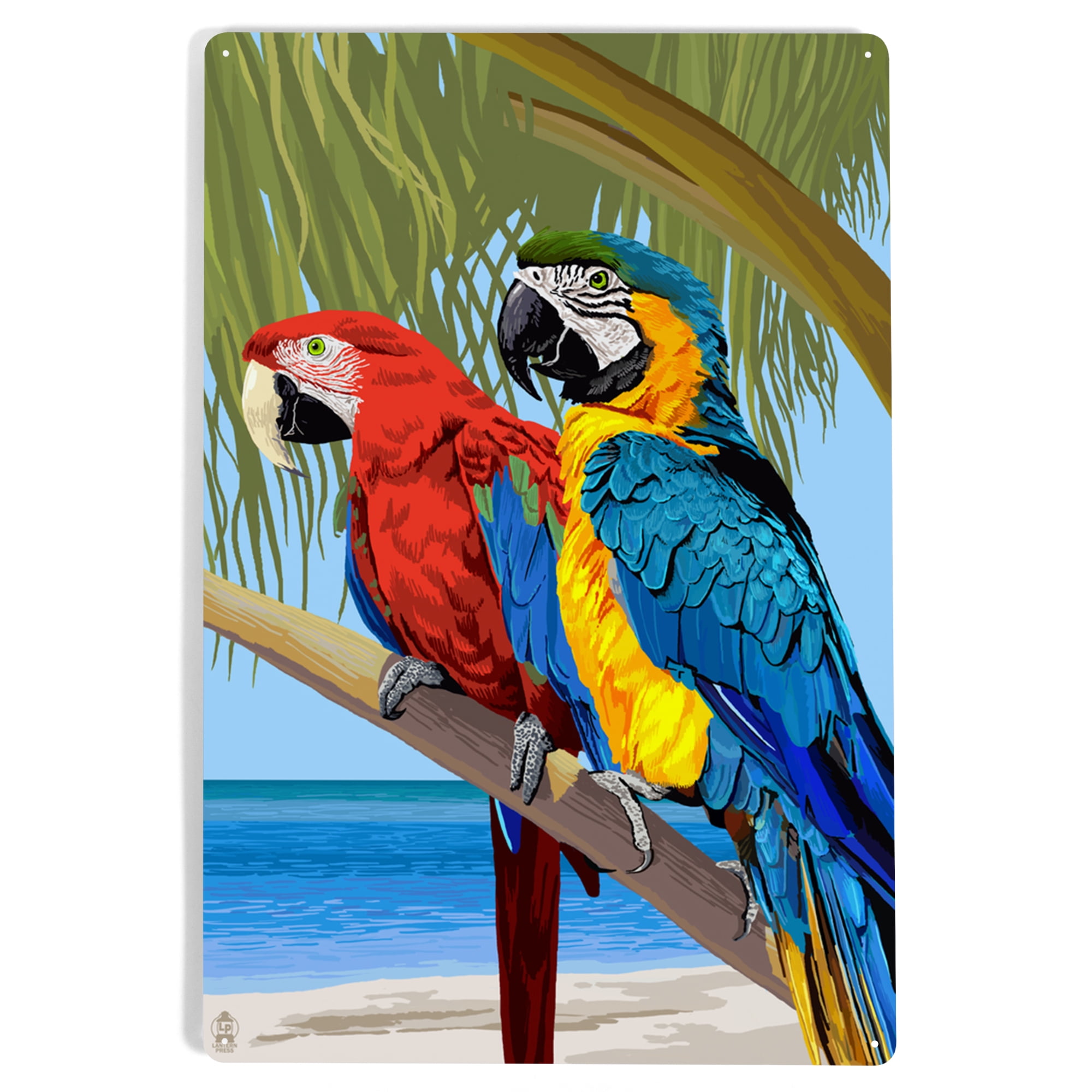 Parrots (12x18 Aluminum Art, Indoor Outdoor Metal Sign Decor) - Walmart.com