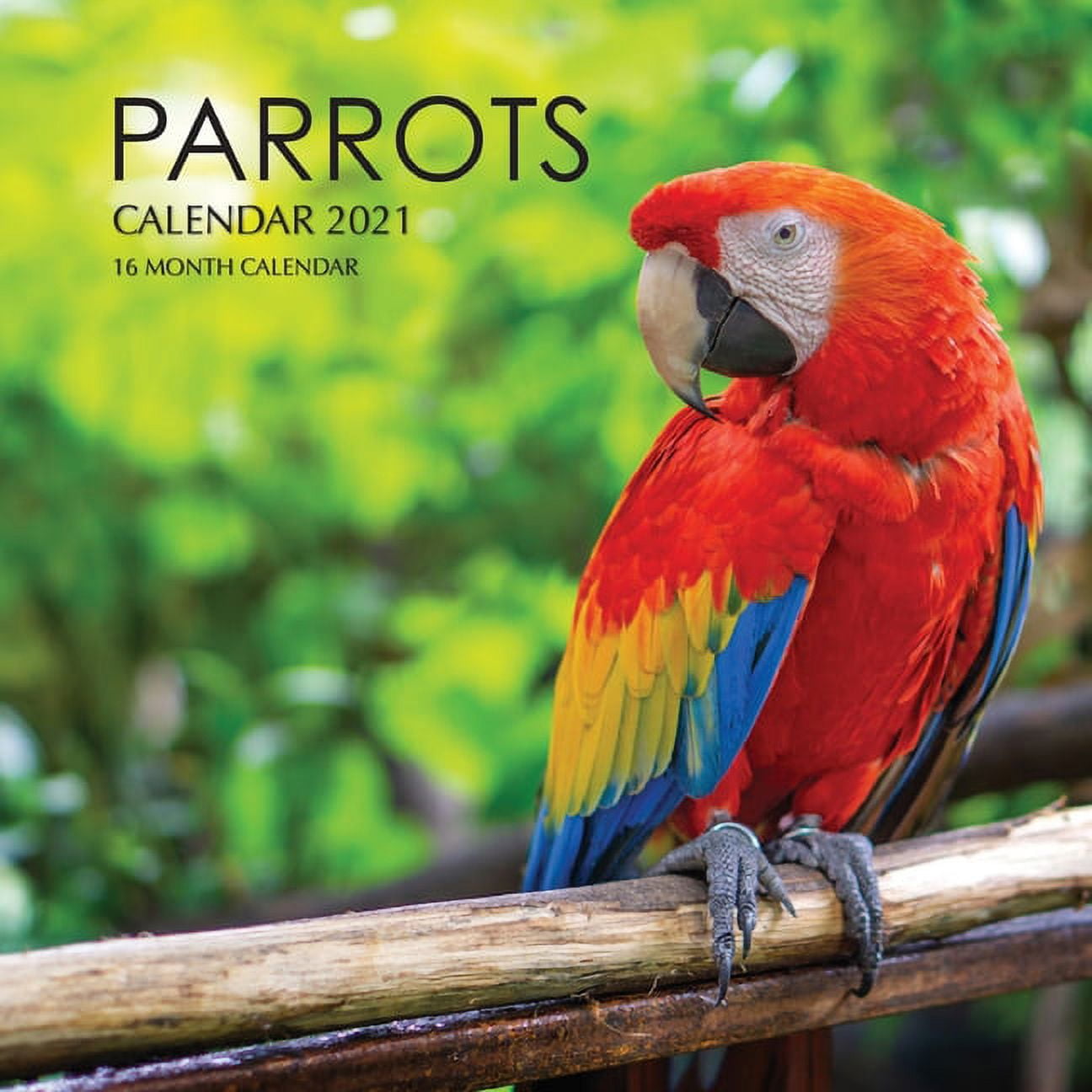 Parrots Calendar 2021: 16 Month Calendar (Paperback) - Walmart.com