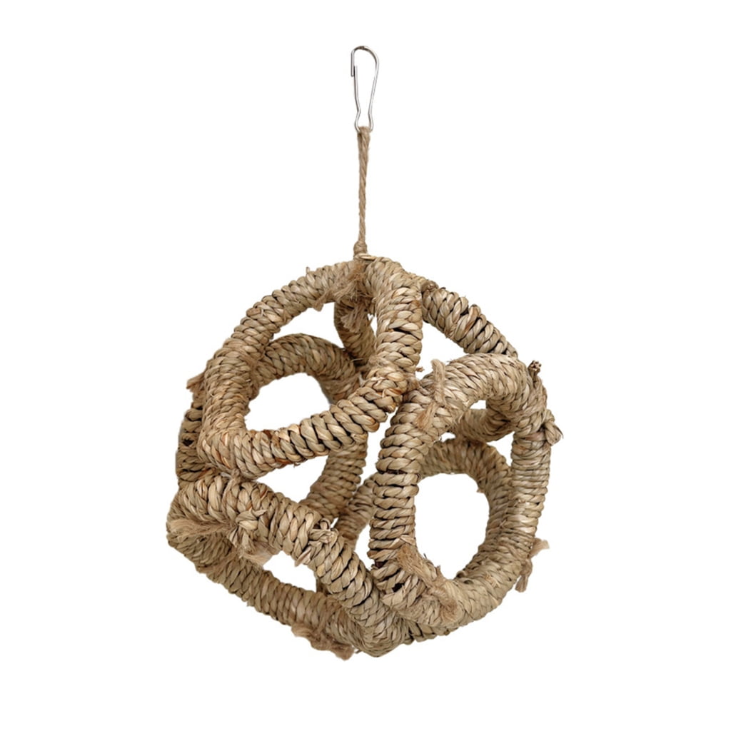 Bird Perch Nature Branch Rings for Parrots Conure Supplies Budgies ...