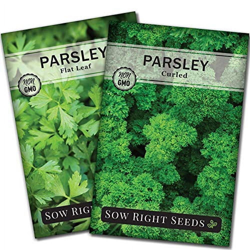 Parsley Seed Collection - Non GMO Varieties - 2 Count - Walmart.com
