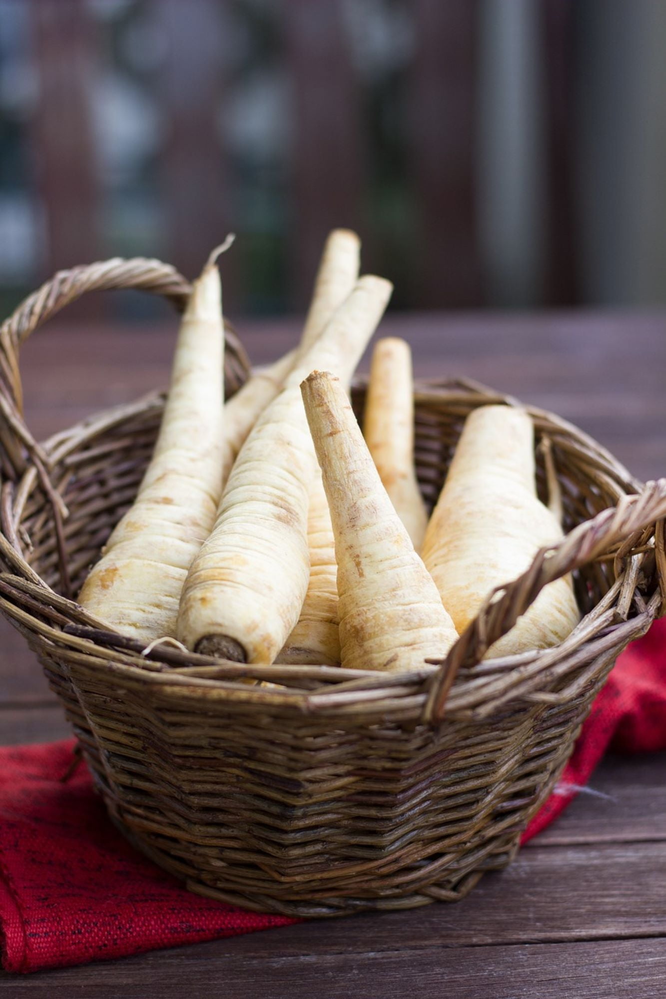 Parsnip Hollow Crown Seeds/ Biennial/ Full Sun/1750 Seeds 1/4 oz ...