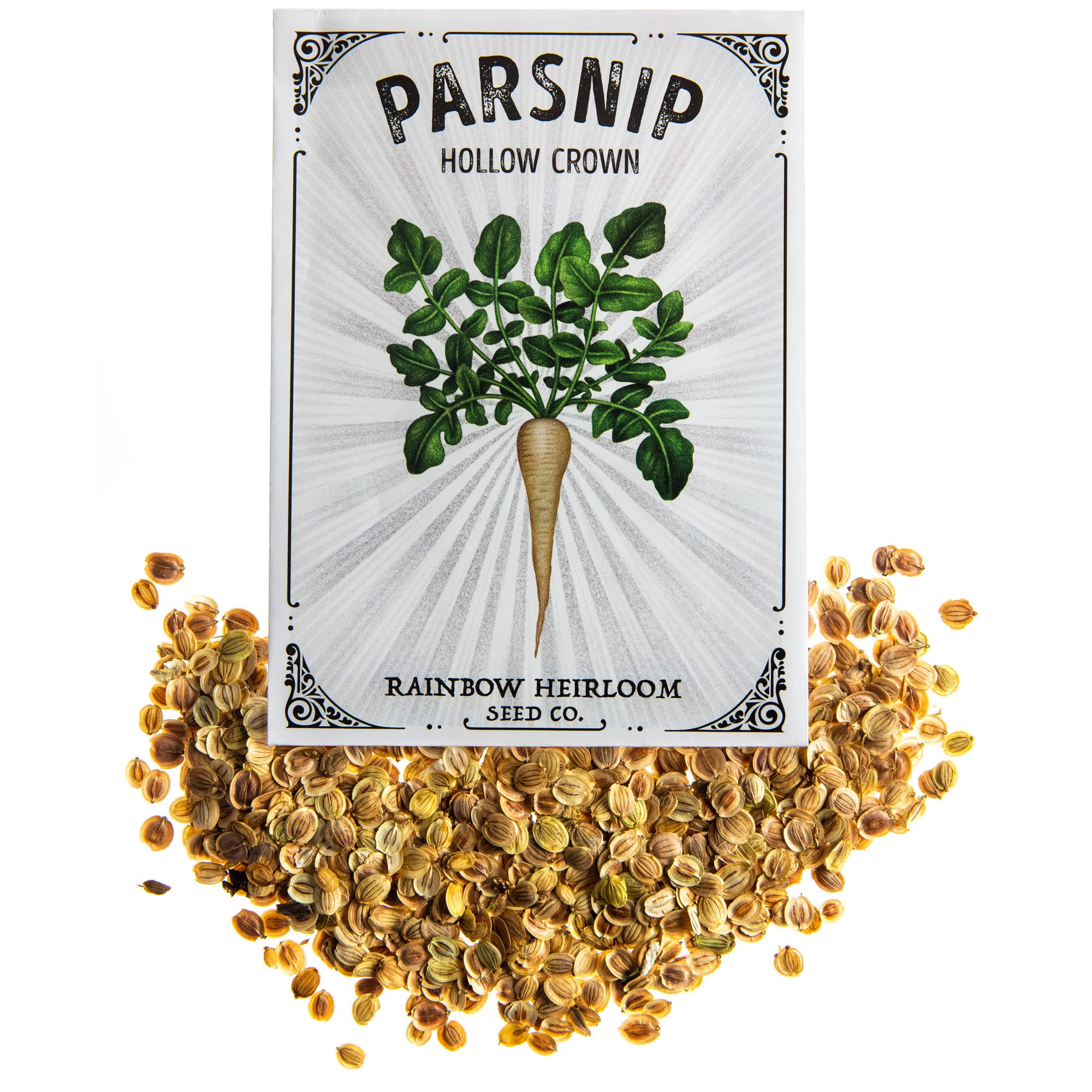 Parsnip Seeds for Planting | Hollow Crown Variety (3g Packet - Approx ...