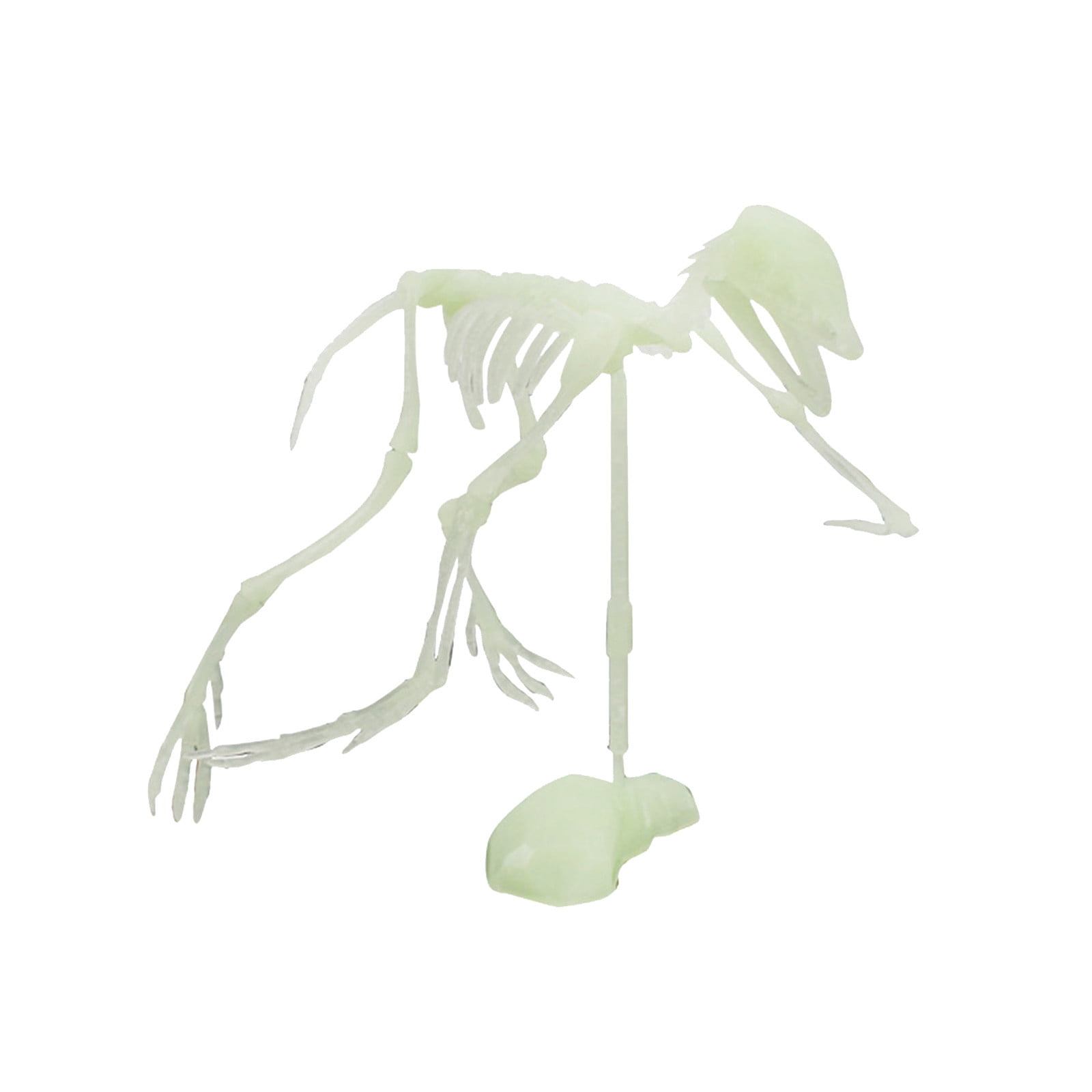 Partheme Novelty Toys 2 Counts Noctilucent Dinosaur Human Skeleton ...