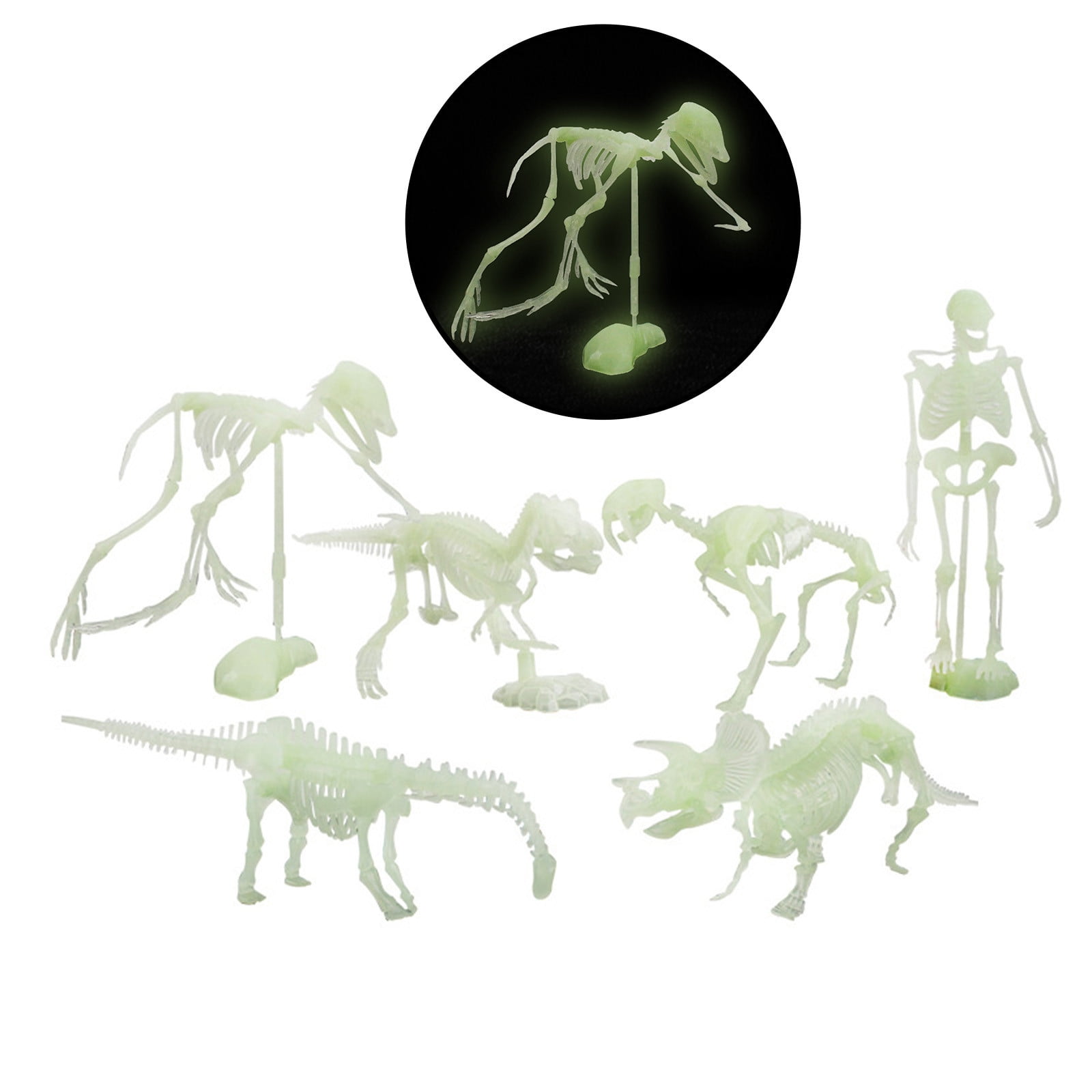 Partheme Novelty Toys 3 Counts 6Pcs Noctilucent Dinosaur Human Skeleton ...