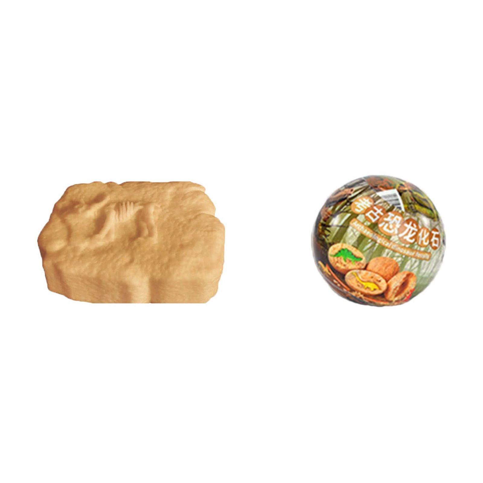 Partheme Novelty Toys 3 Counts Children Dinosaur Fossils Skeleton ...