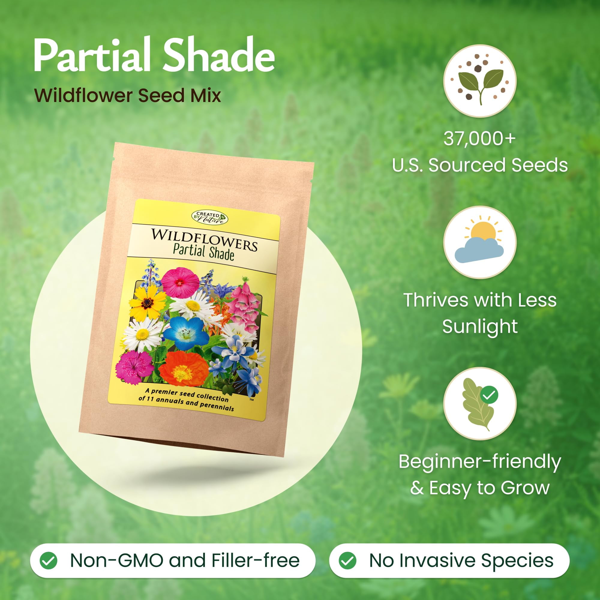 Partial Shade Wildflower AJH3 Seed Mix, Covers 325 Sq Ft, 11 Flower ...