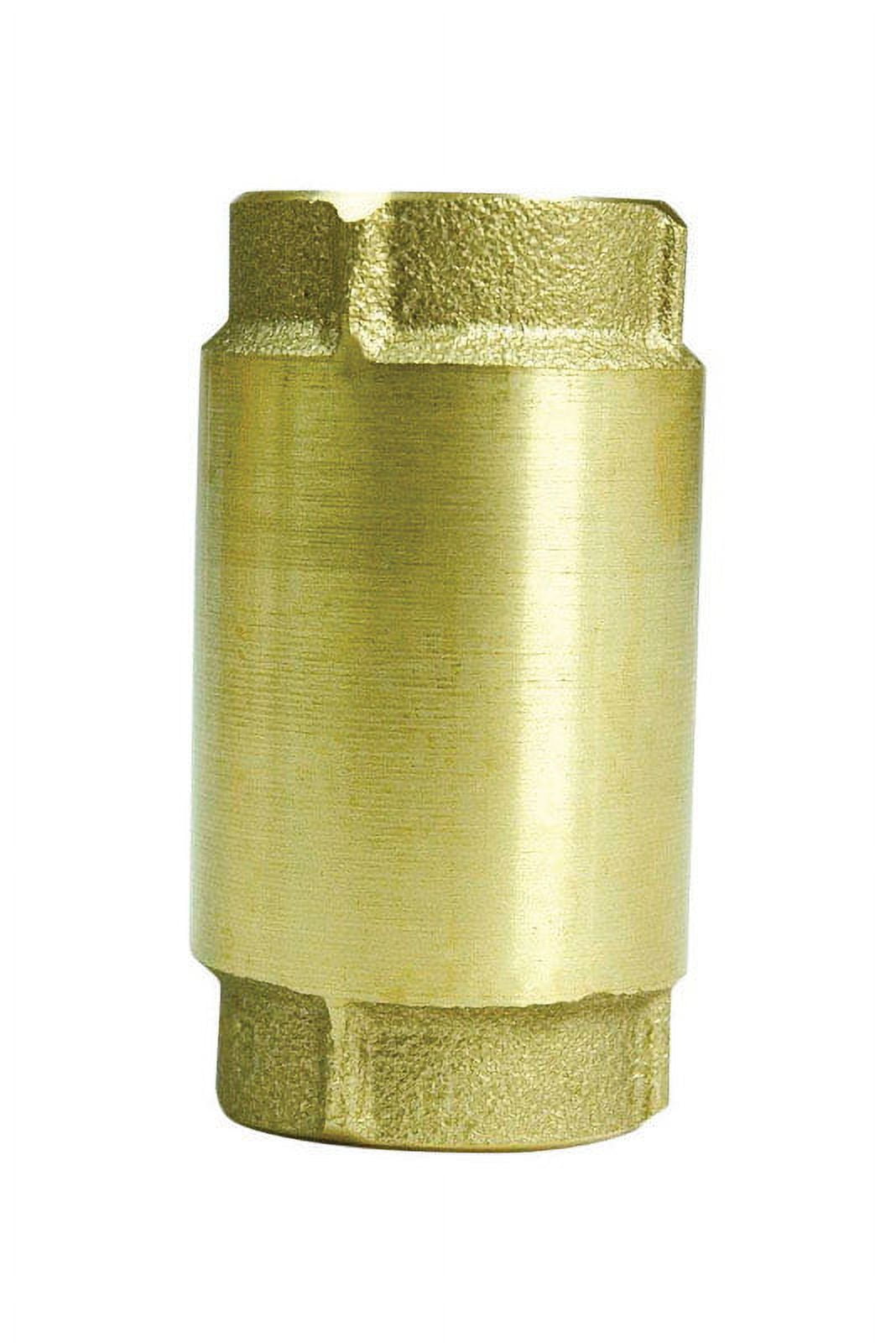 Parts 2O Brass Spring Check Valve - Walmart.com