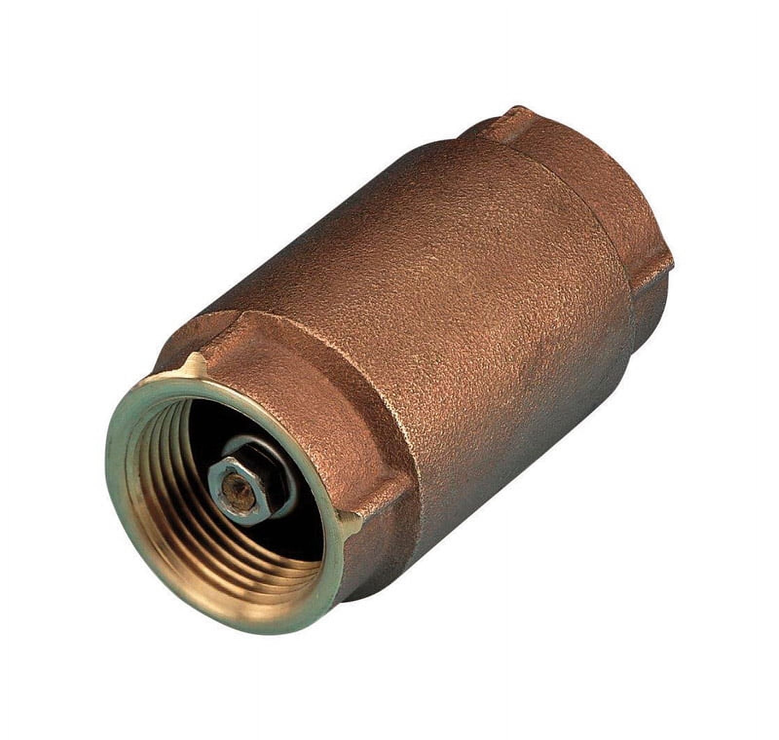 Parts 2O Brass Spring Check Valve - Walmart.com