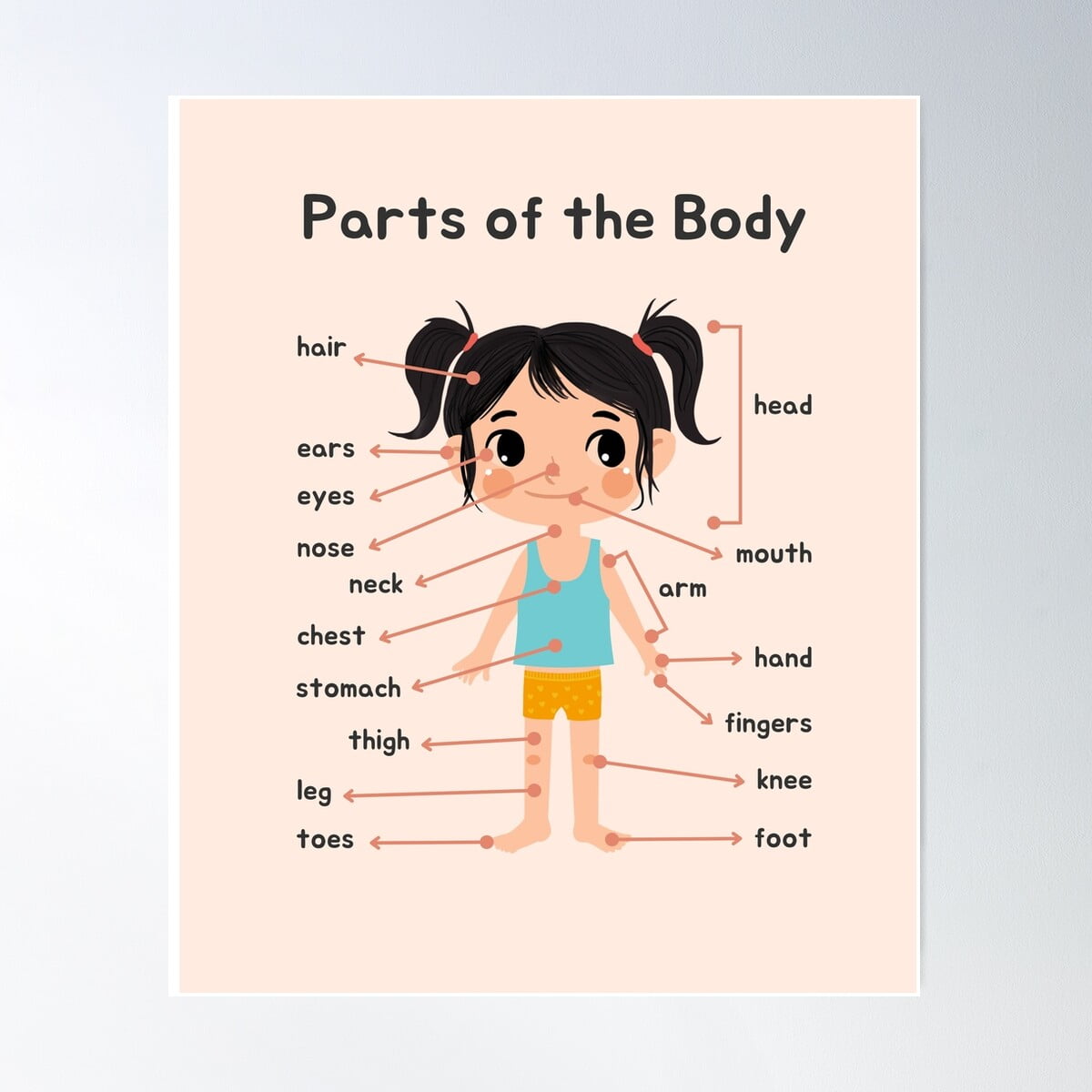 Parts Of The Body Educational Poster Poster Wall Art, Modern Wall Decor ...
