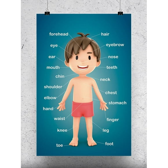 Body Parts Photography