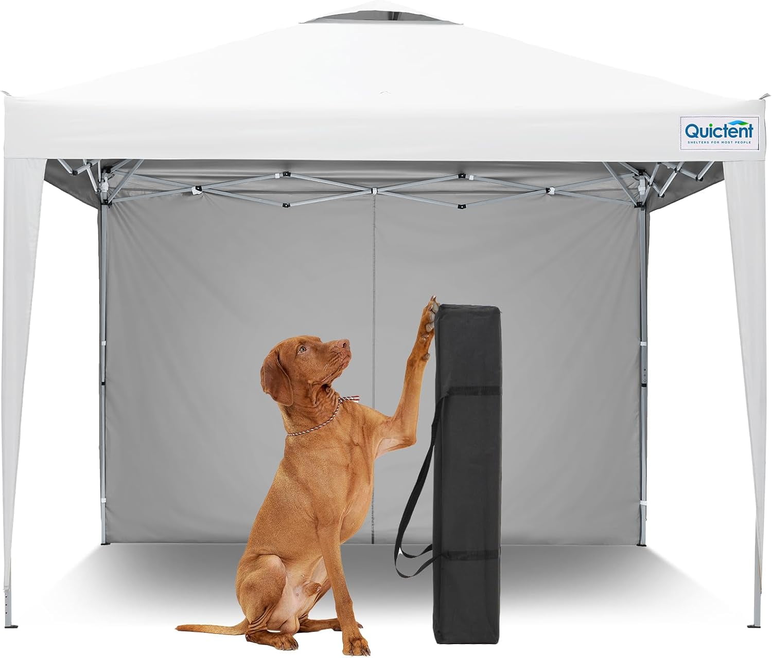 Party 10x10 Pop Up Canopy Tent with 1 Sidewall, Instant Setup Gazebo for 1 Person, Portable ...