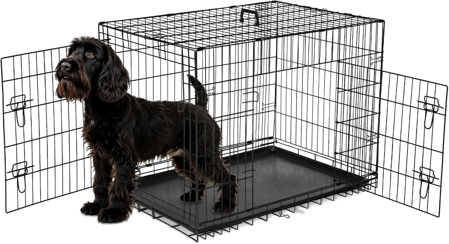 Party 36-Inch Dog Cage with Divider, Metal Wire Two-Door Folding Mid ...