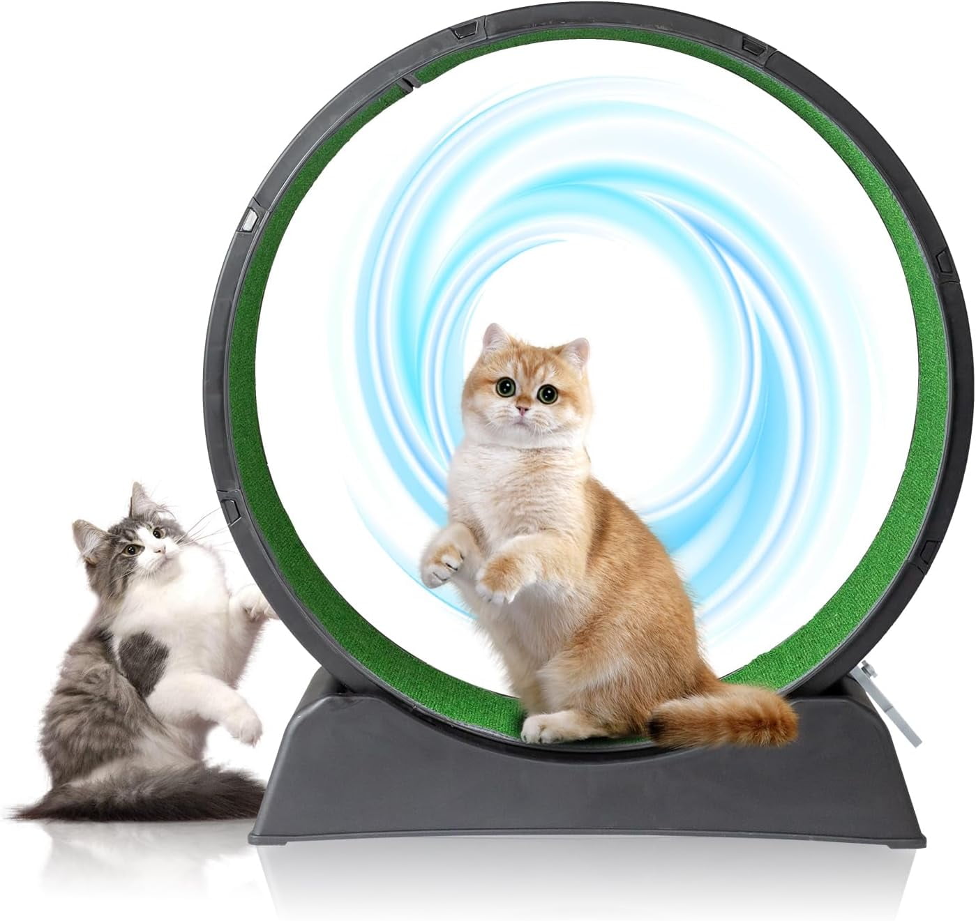 Party Cat Wheel, PP Plastic Cat Exercise Wheel for Quiet Running Indoor ...