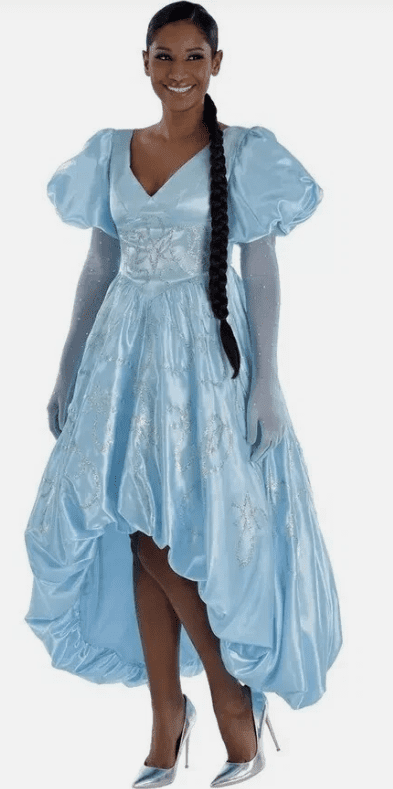 Disney Descendants The Rise of Red Cinderella Deluxe Costume (Adult ...