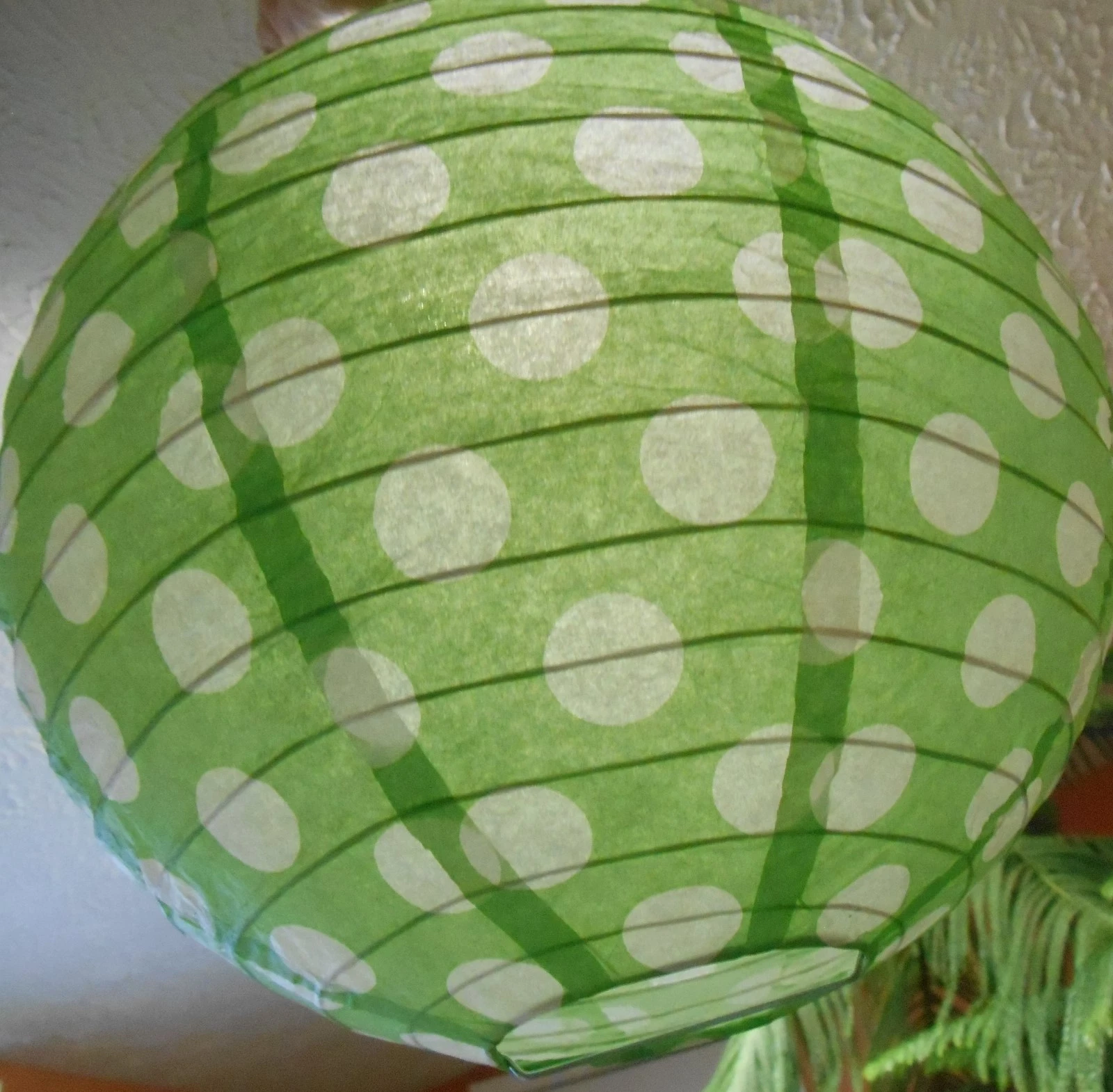 Party Paper Lantern 10" Metal Expander Green With White Polka Dots 1 ...