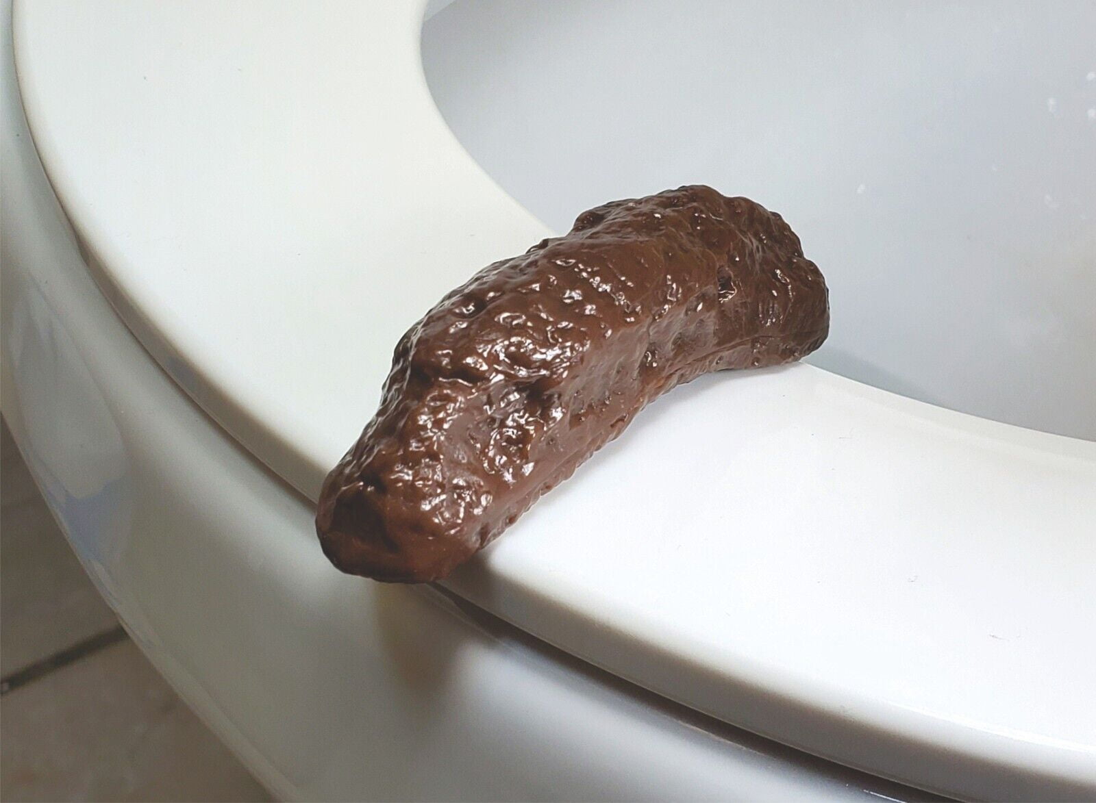 Party Pooper fake poop toilet bathroom prank joke gag home office work ...