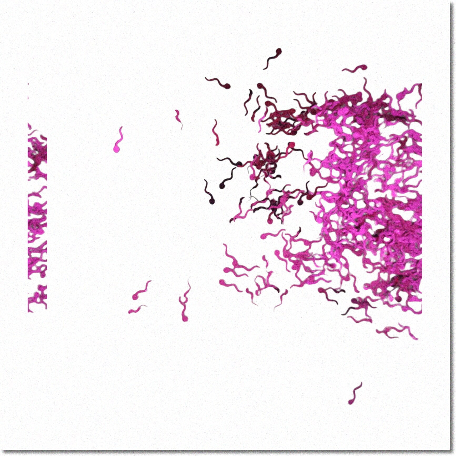 Party Poppers: Playful Pink Confetti for Birthday, Baby Shower, Gender ...