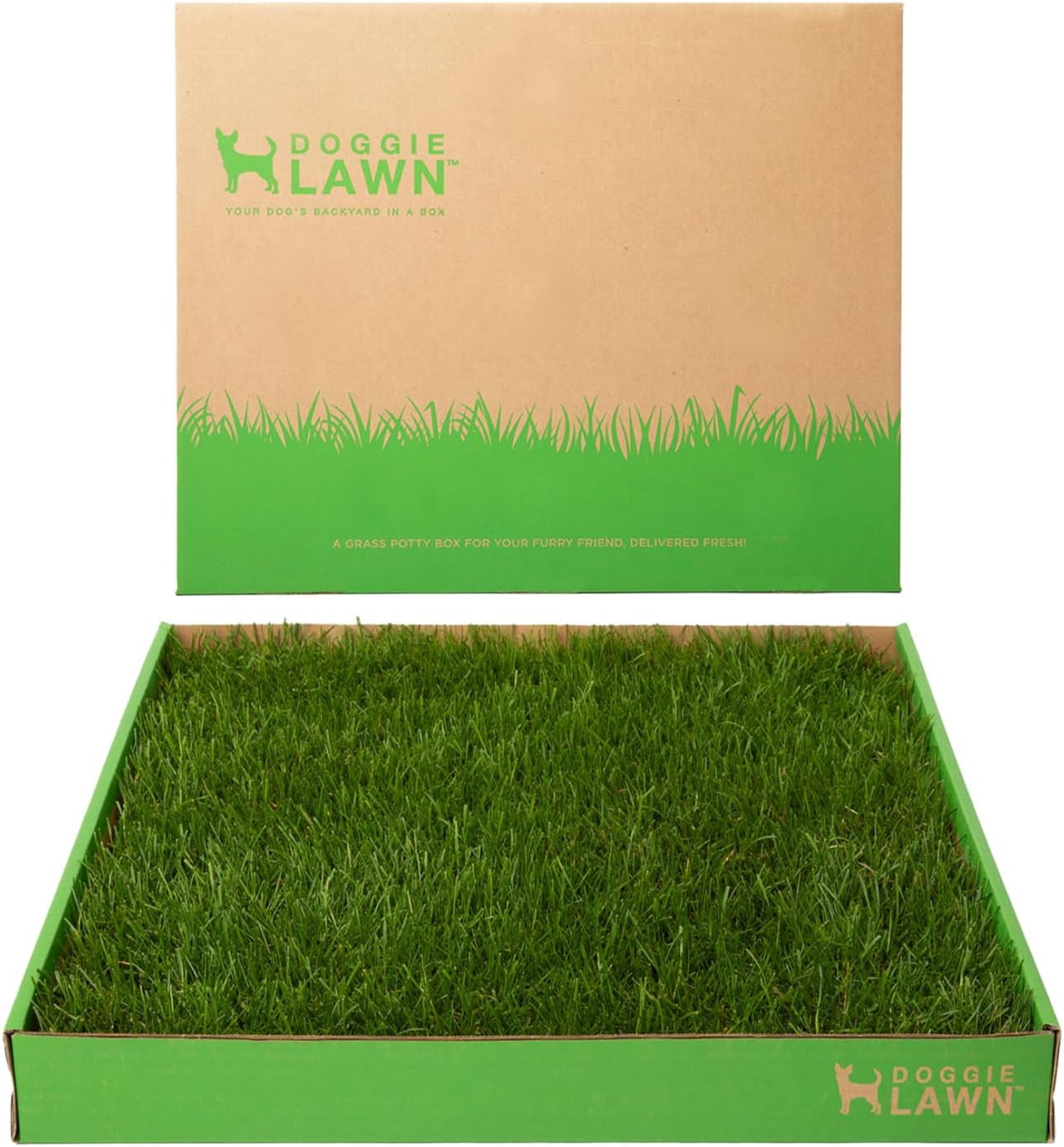Party Real Grass Puppy Pee Pads - Potty Training Pads for Dogs ...